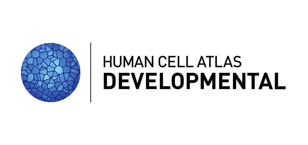 Human Developmental Cell Atlas | Spatial Research